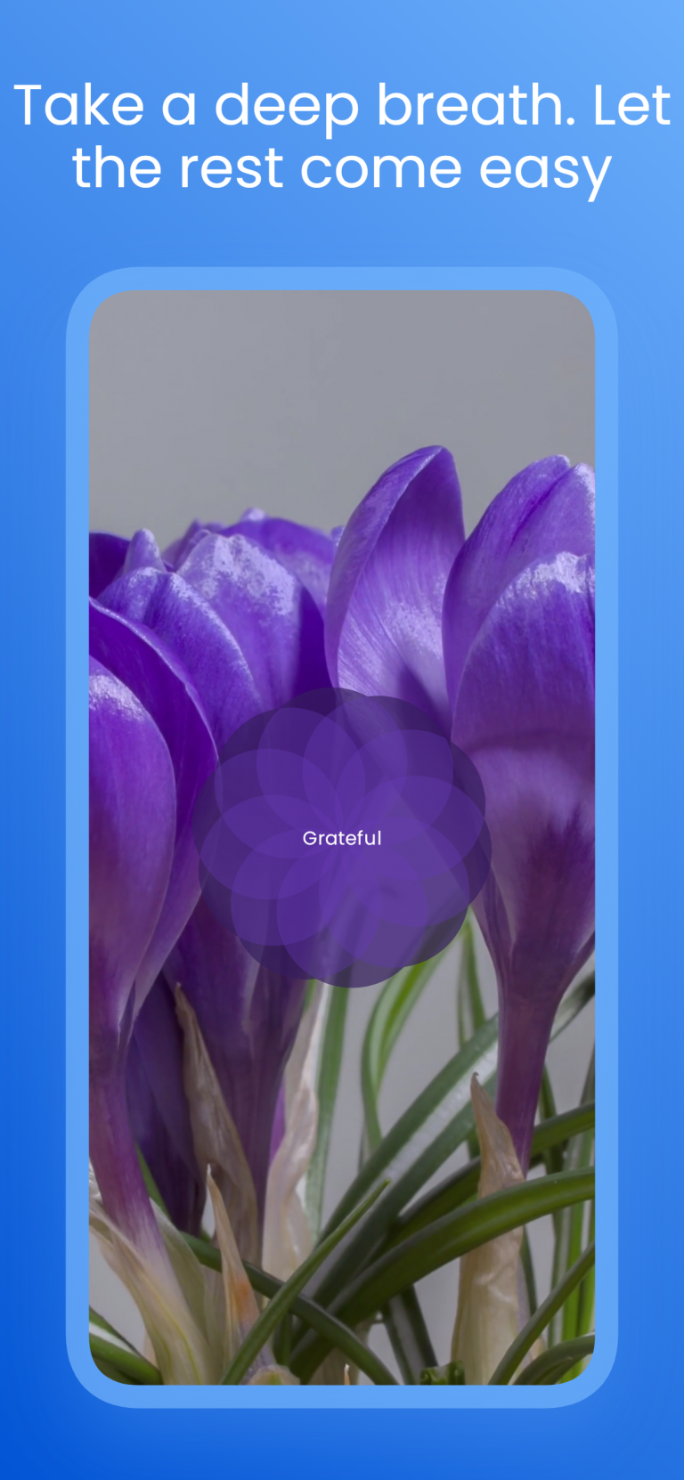 Breathe to Relax: Guided Breathing App – Colton Grubbs
